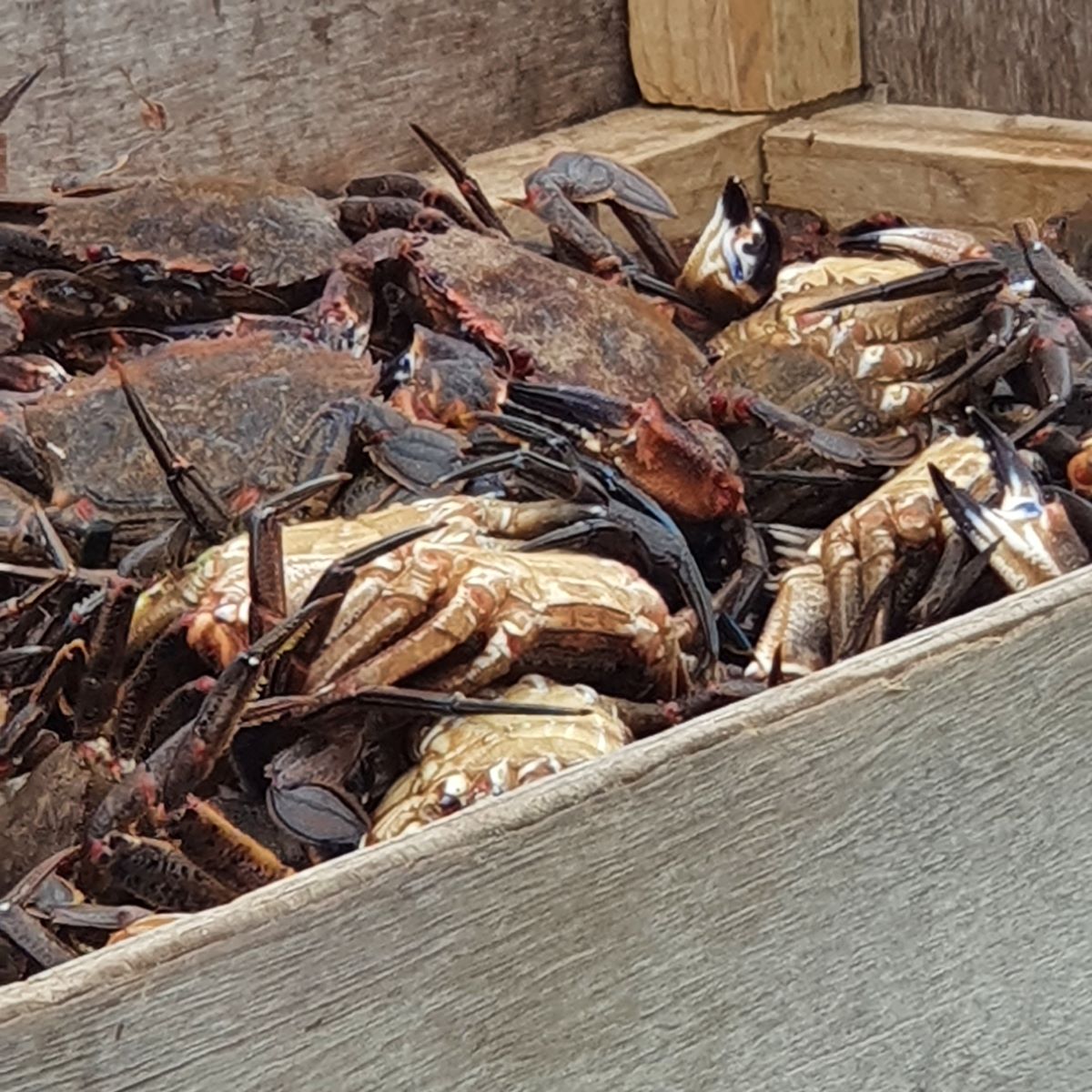 Cliabh an t-Seanachais - Film Screening at Creich Hall : South West ...