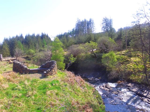 Forest Masterplan - what do you think?! : South West Mull and Iona ...